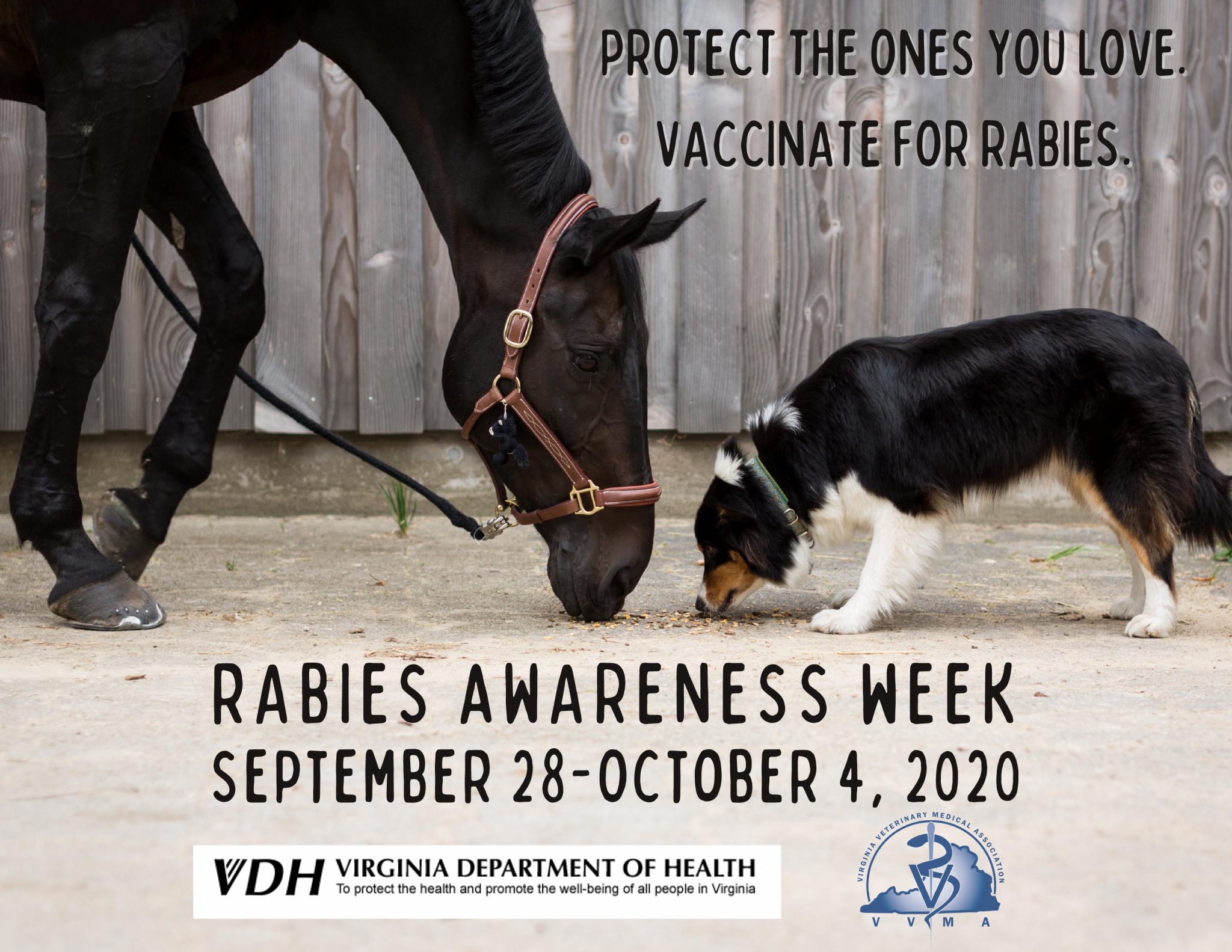 Rabies Awareness Week, Sept. 28 – Oct. 4 – Virginia Department of Health