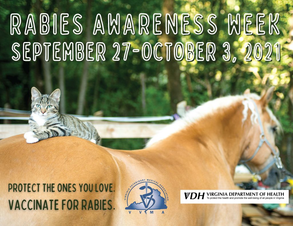 Rabies Awareness Week – Virginia Department of Health
