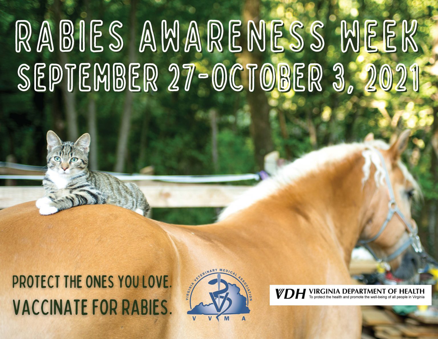 Rabies Awareness Week – Virginia Department of Health