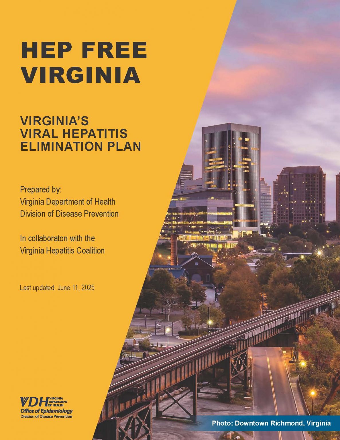 Viral Hepatitis – Disease Prevention