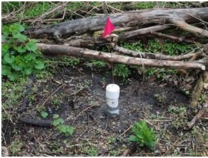 Environmental Health – VA Beach Dept. of Public Health