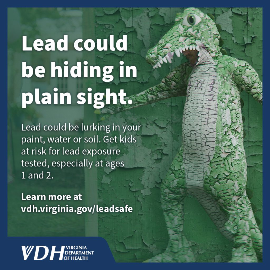 Educational Materials – Lead Safe