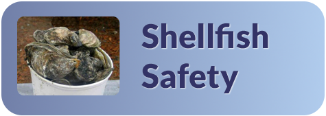 Shellfish Safety – Environmental Health