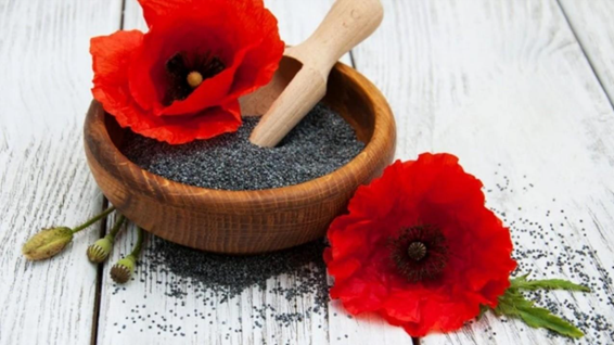 Opiate alkaloids Archives - Environmental Health
