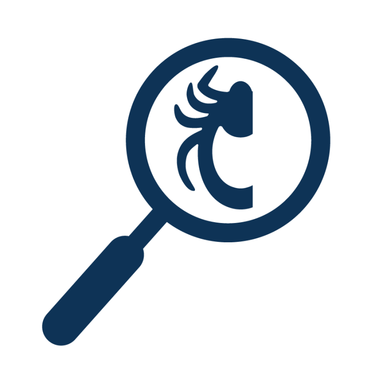 Ticks – Virginia Department of Health Ticks