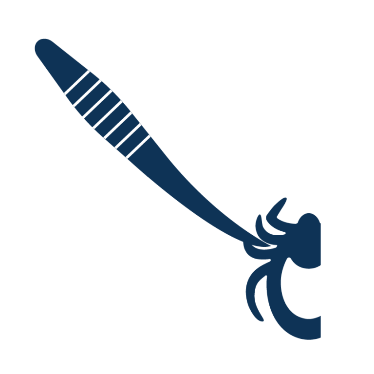 Ticks – Virginia Department of Health Ticks