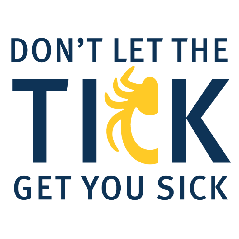 Ticks – Virginia Department of Health Ticks