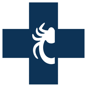 Ticks – Virginia Department of Health Ticks