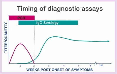 Clinician Resources for Tick-borne Diseases – Ticks