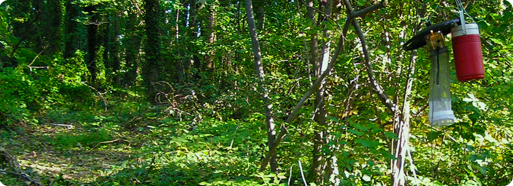 Vector Control – Norfolk Health Department