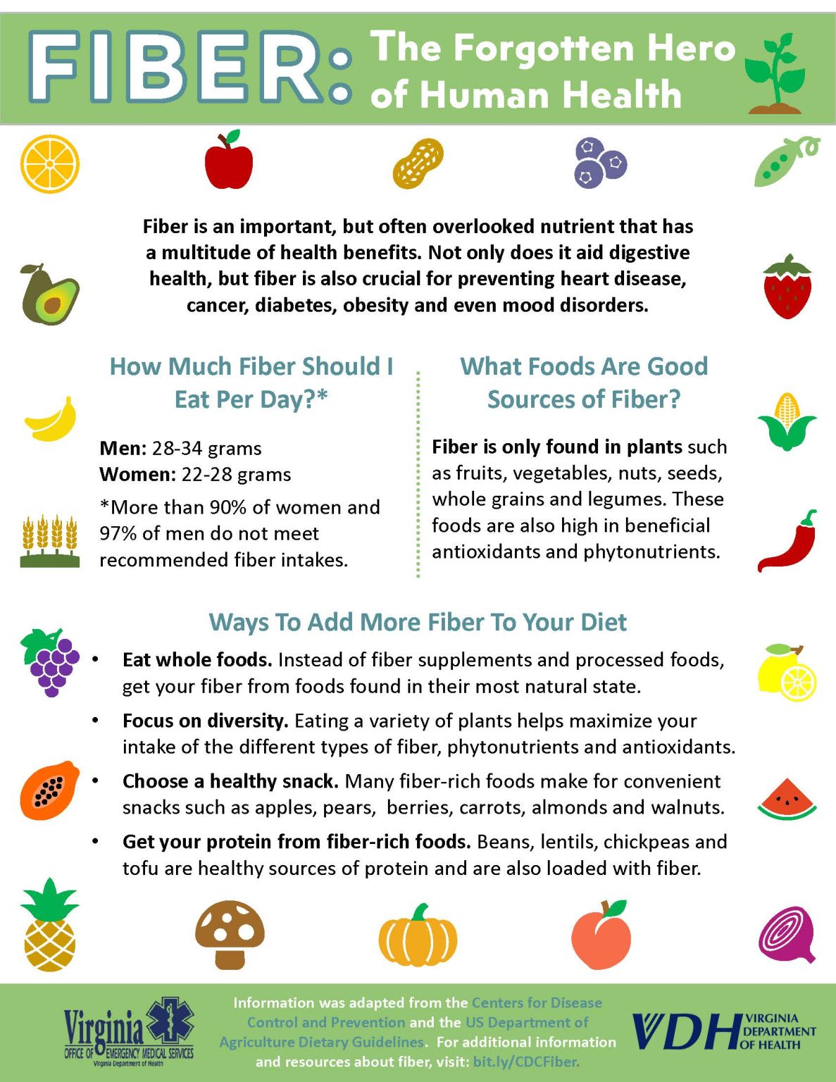 Fiber: The Forgotten Hero of Human Health - Emergency Medical Services