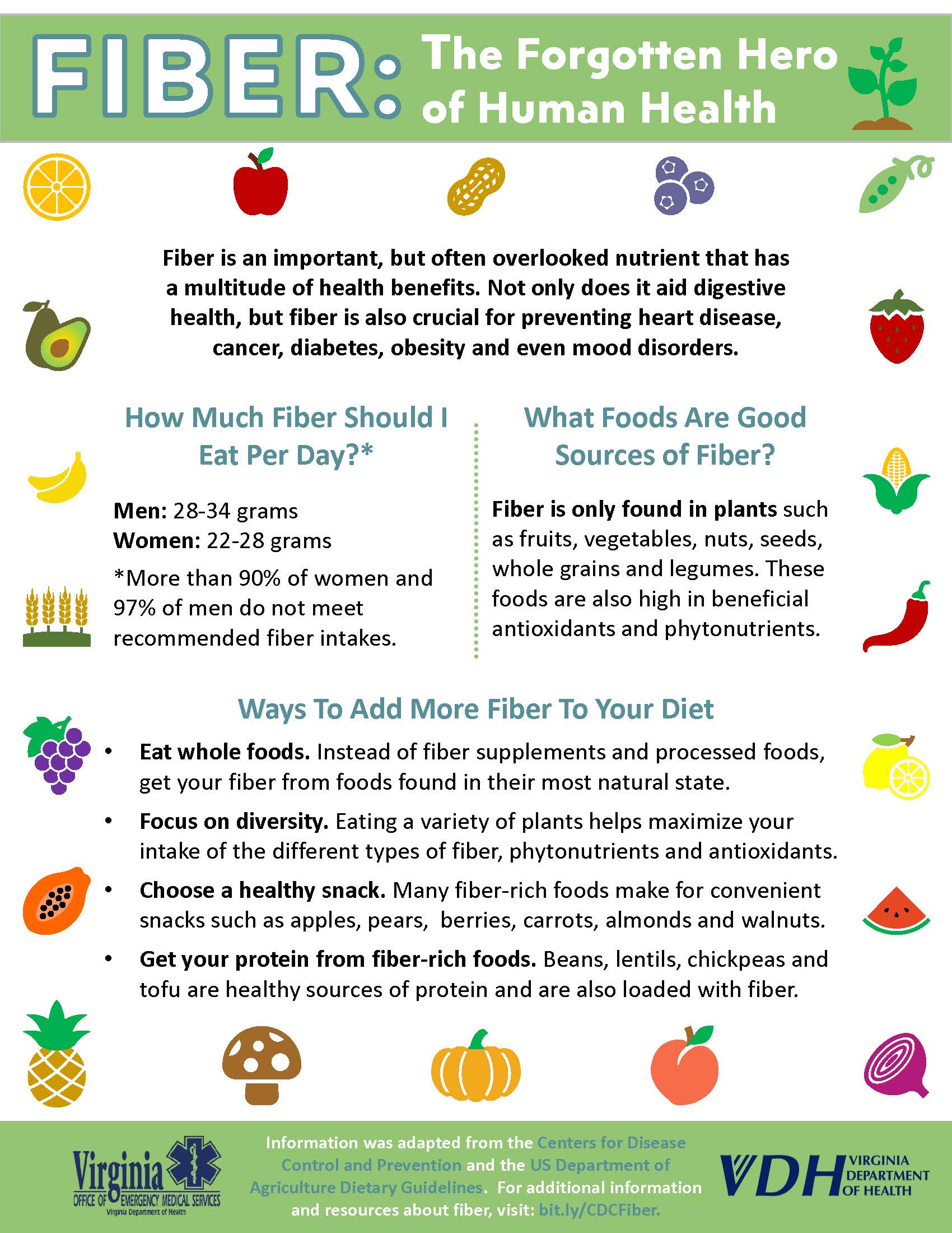 Fiber: The Forgotten Hero of Human Health - Emergency Medical Services