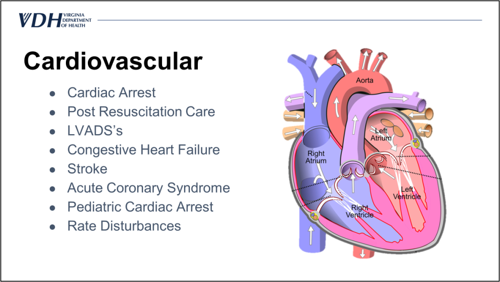 A Continuing Education (CE) Explainer - Emergency Medical Services