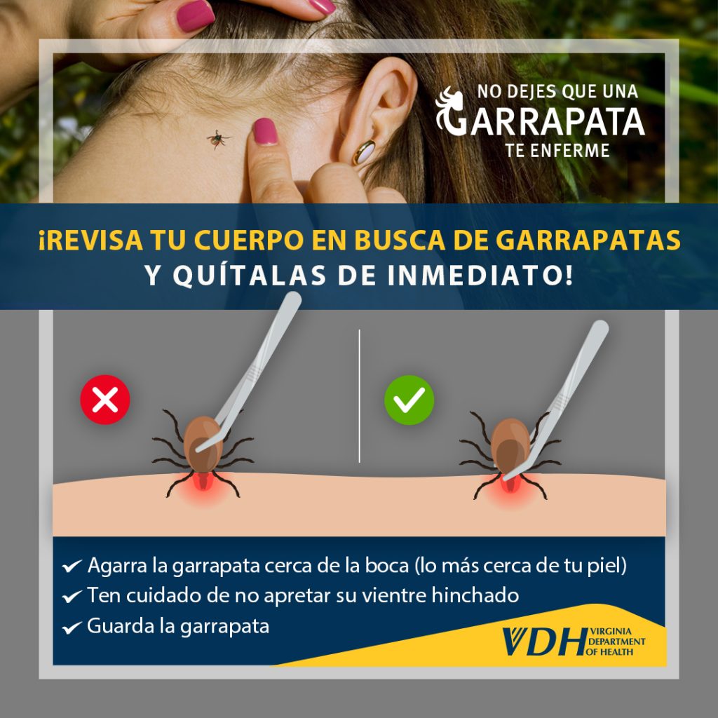 Ticks – Newsroom