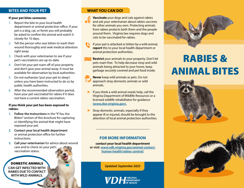 Animal Safety - Newsroom