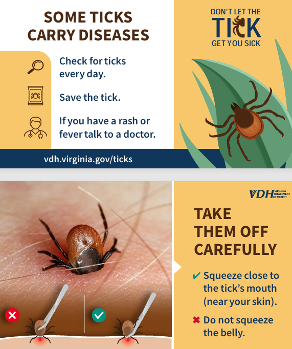 Ticks Safety - Newsroom