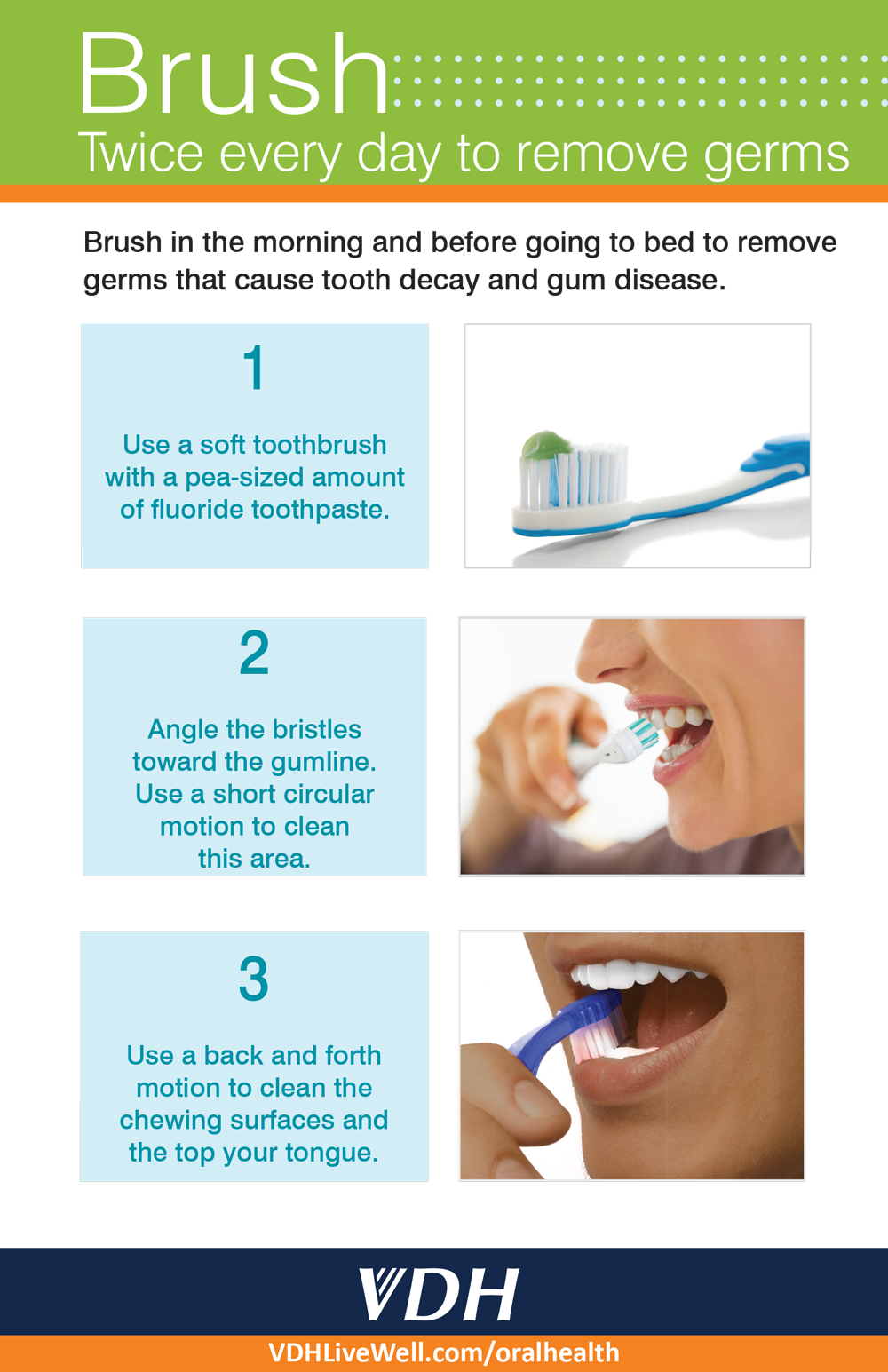 VDHLiveWell Materials – VDHLiveWell Infographics