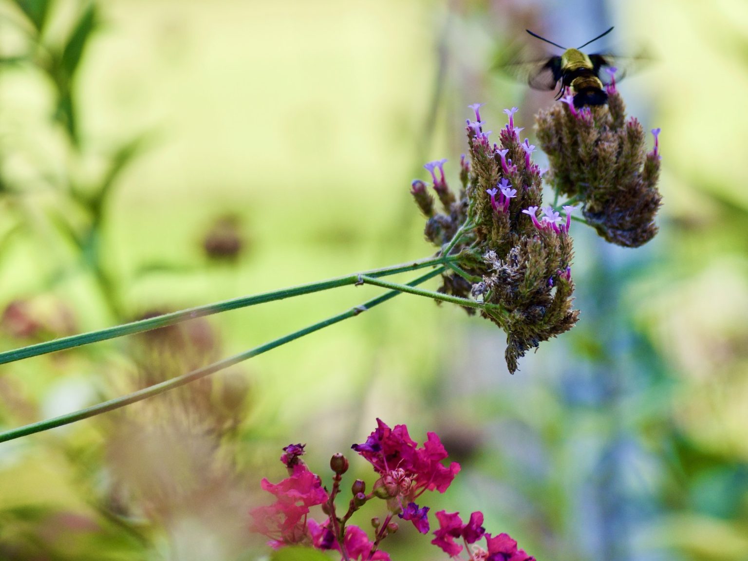 testing – Health Equity