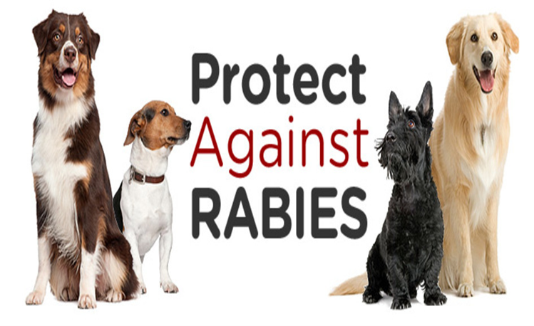 Rabies Prevention – Central Virginia